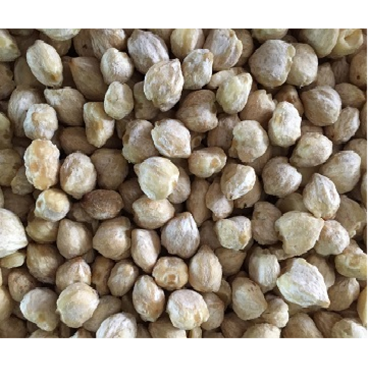 Candle Nut (Buah Keras ) 1kg